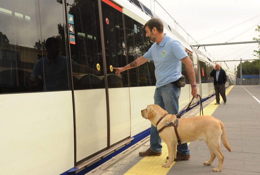 Los perros guía, una herramienta vital para la seguridad de las ...